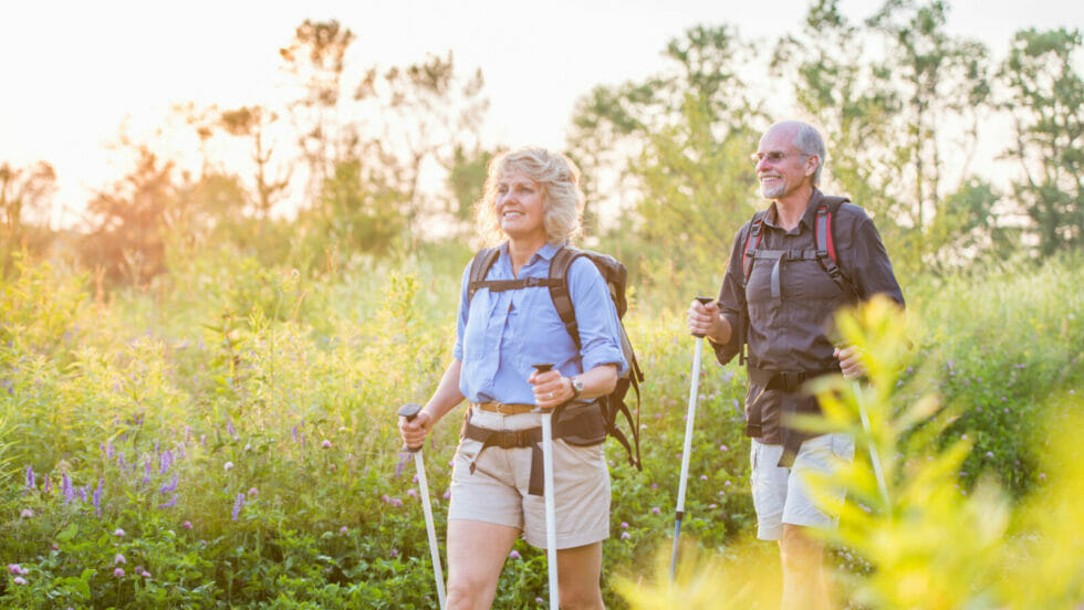 11 Fun Day Trips for Senior Living Communities - Stellar Senior Living